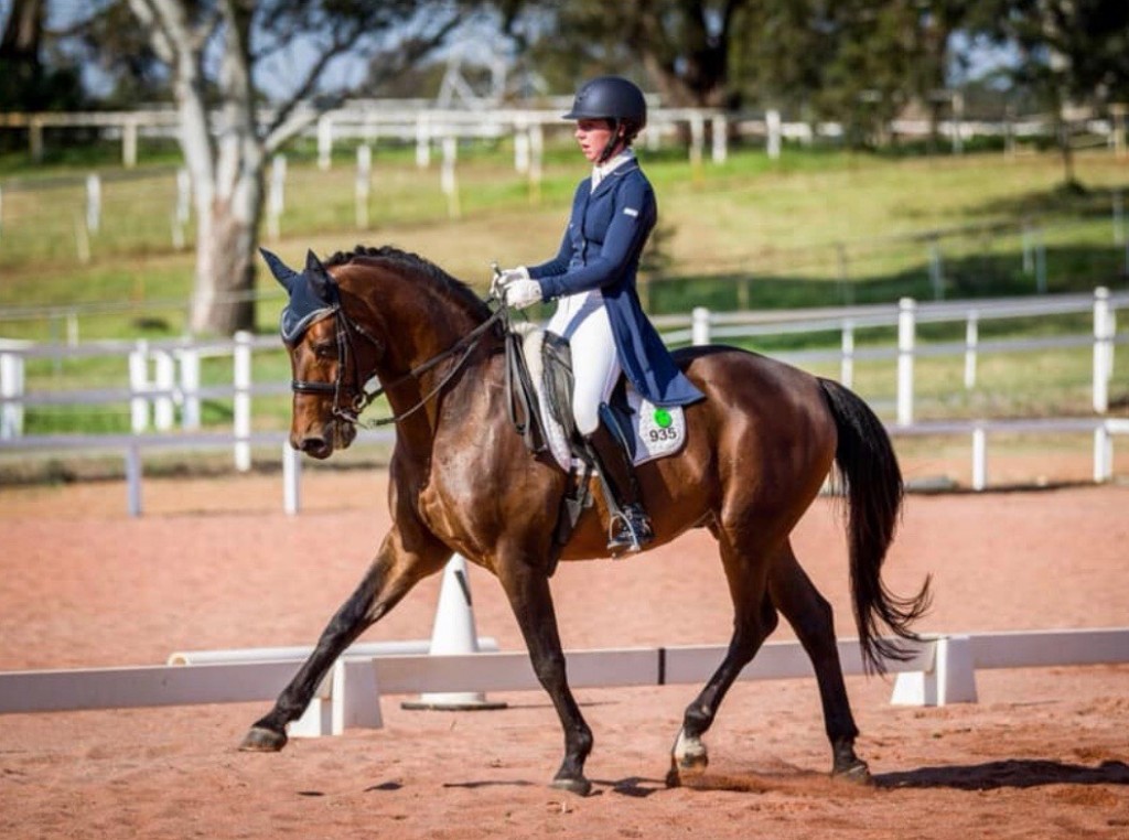Sally's Dressage Stables | Sally Evans Dressage – teaching, training ...